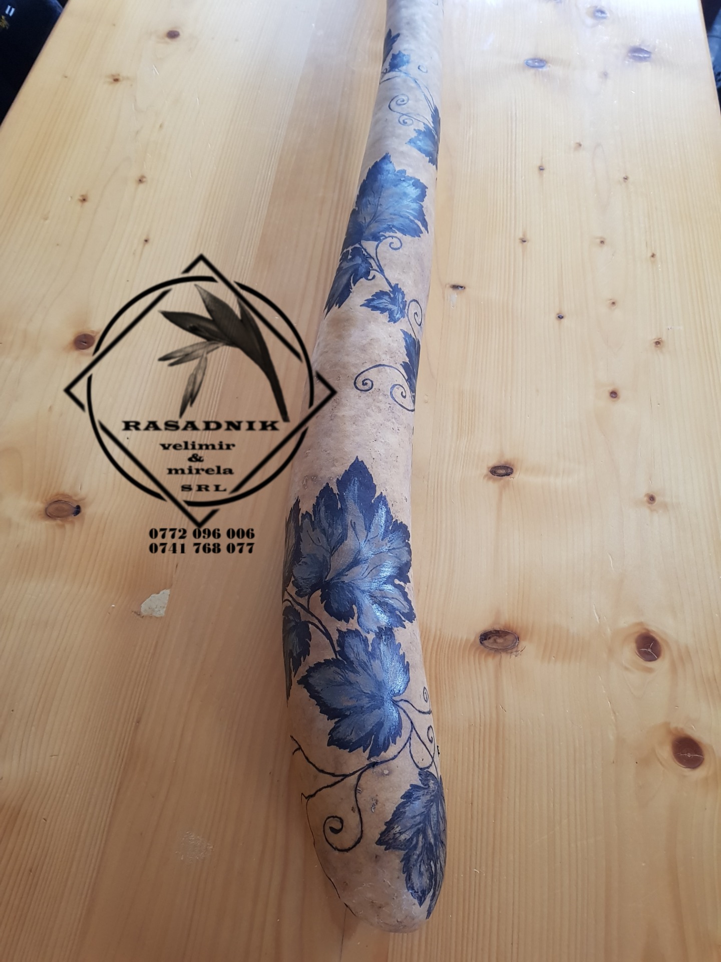 SEMINTE dovleac la metru - Lagenaria longissima - Sicilian Snake ...